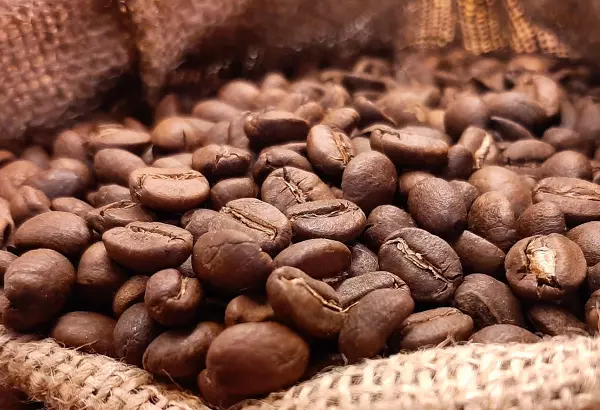 Excelso - Kaffee24 Magazin